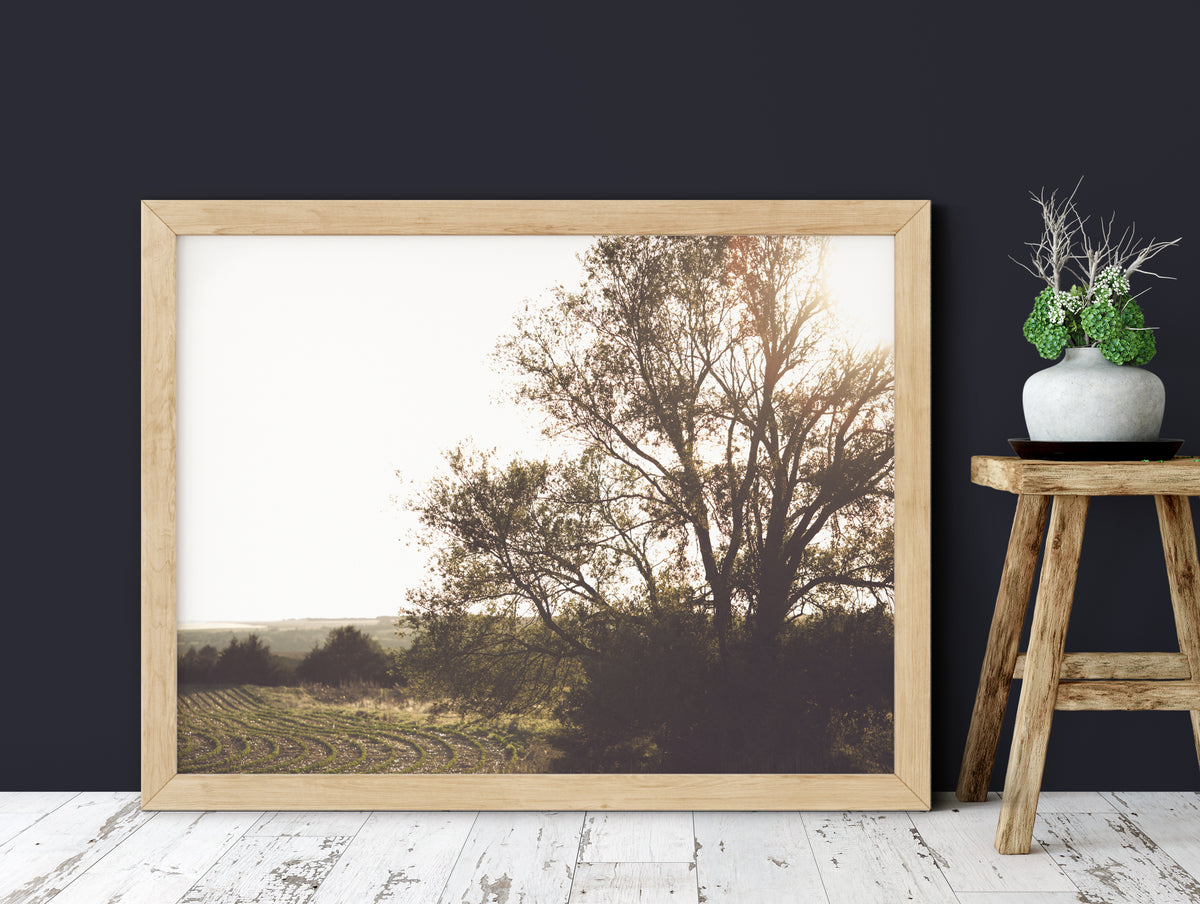 The Old Oak, digital print